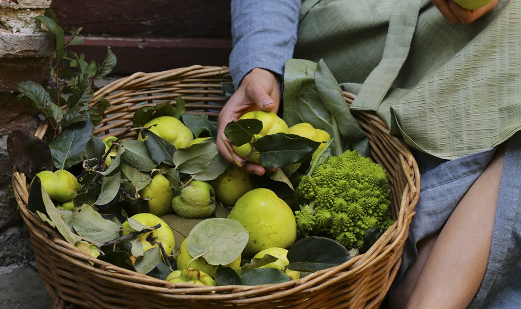 Emily Foods - CECOMED